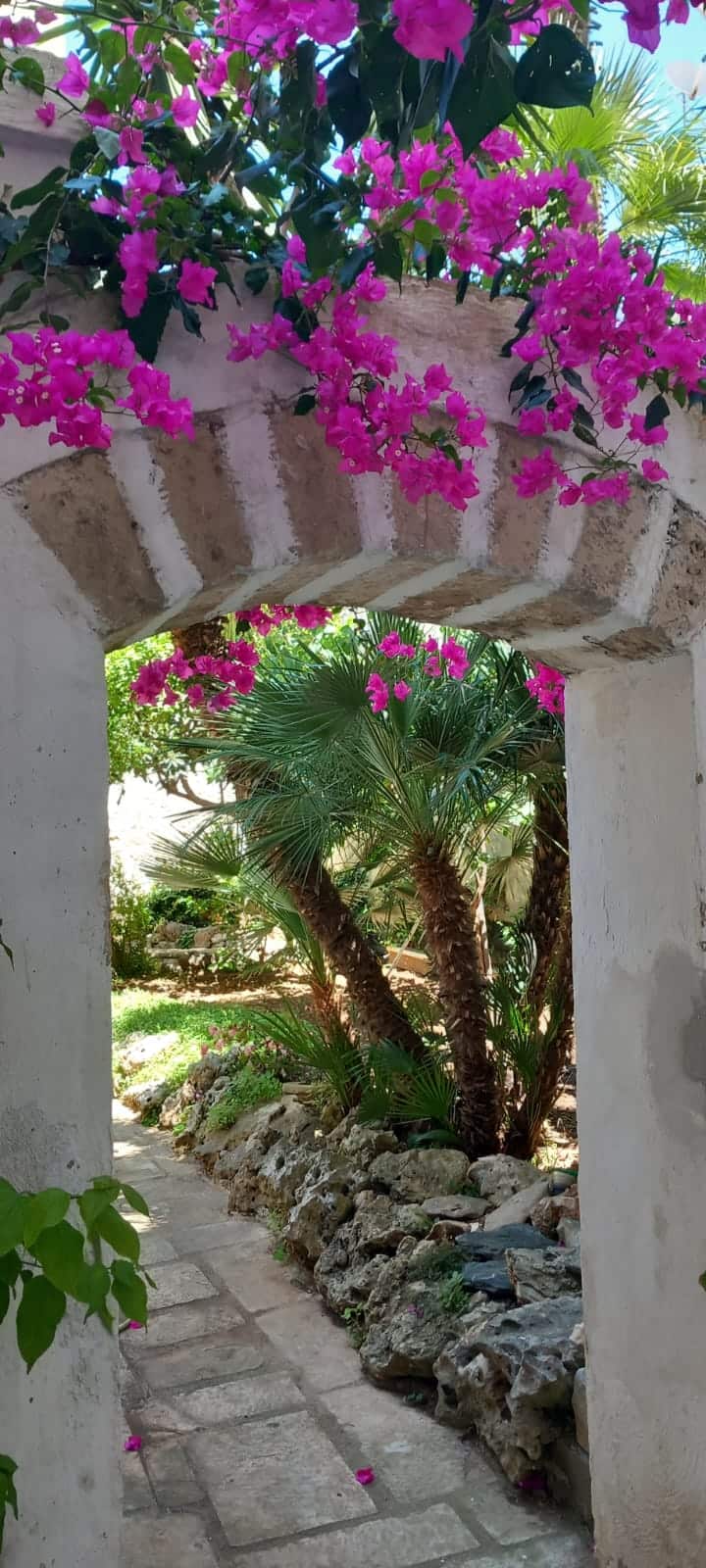 Oasi In Centro Citta' - Bari