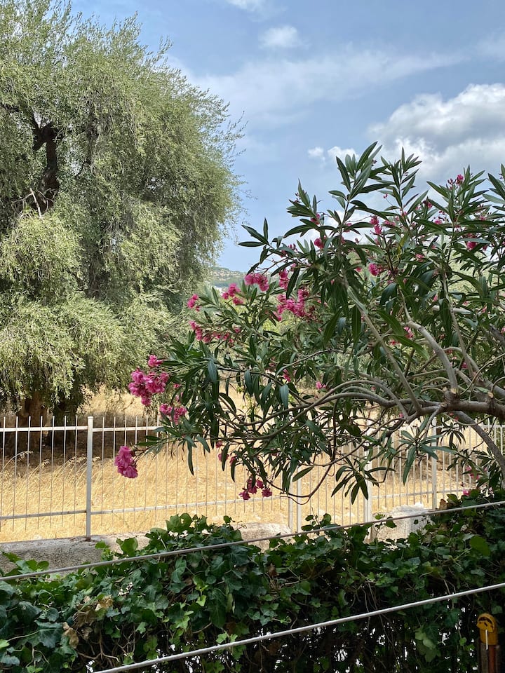 Casa Uliveto 2 - Mattinata