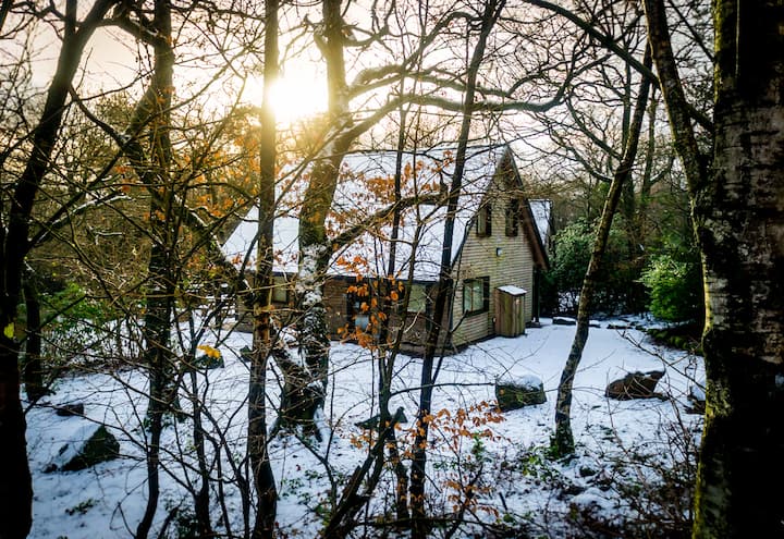 Ellastone; Woodland Lodge With Hot Tub For 8 - Alton Towers