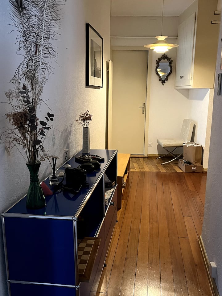 Charming Central Flat - Genève