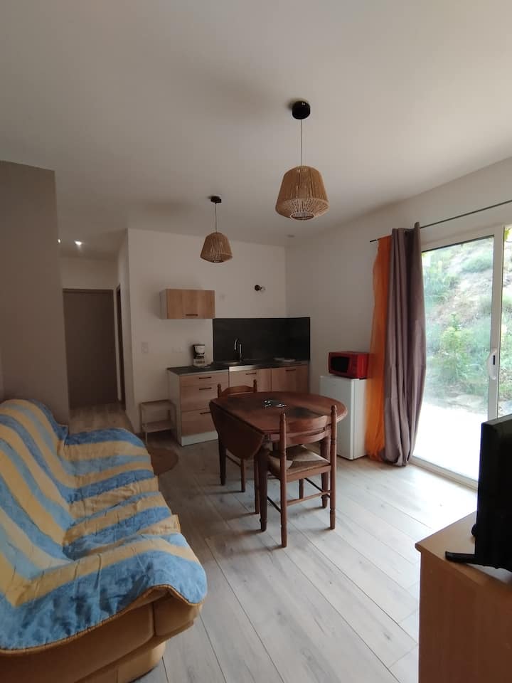 Appartement Des Georges Du Tarn - Millau