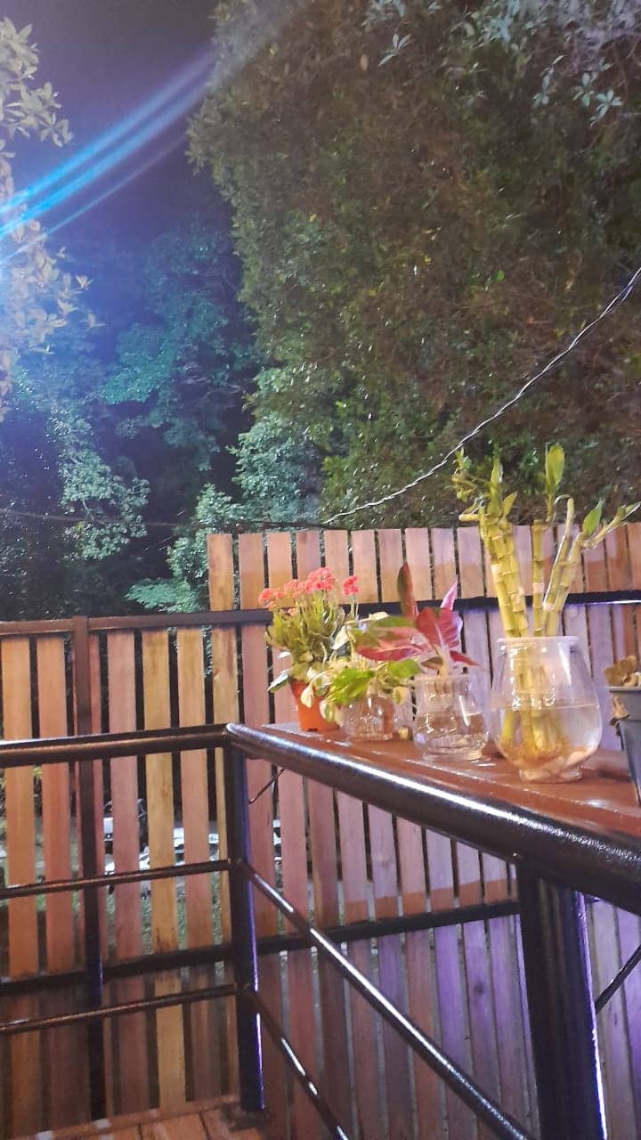 Antz Chalet - Kluang