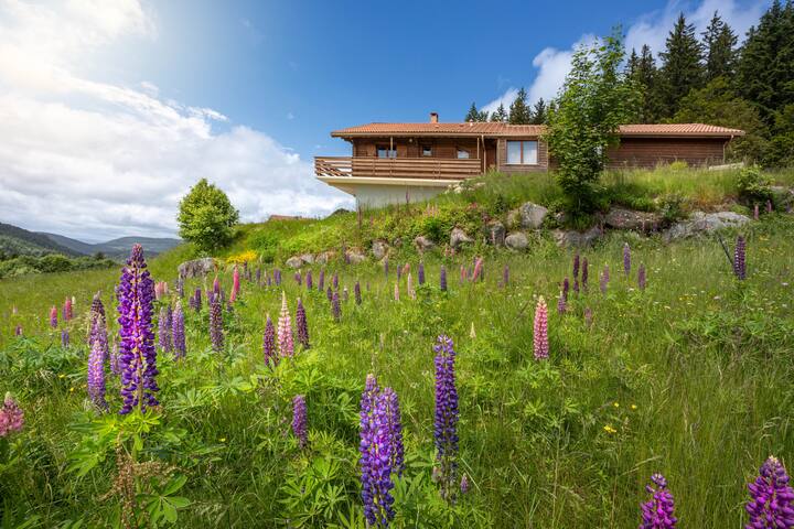 Chalet Dyna, Luxe, Calme Et Vue Exceptionnelle - La Bresse