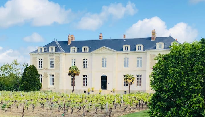 Château Vue Lac De Grand Lieu - Loire-Atlantique