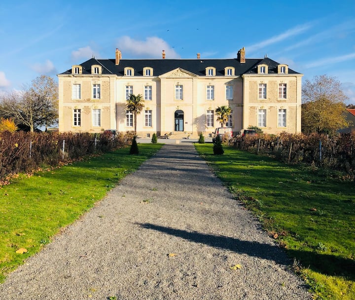 Château Vue Lac De Grand Lieu - Loire-Atlantique