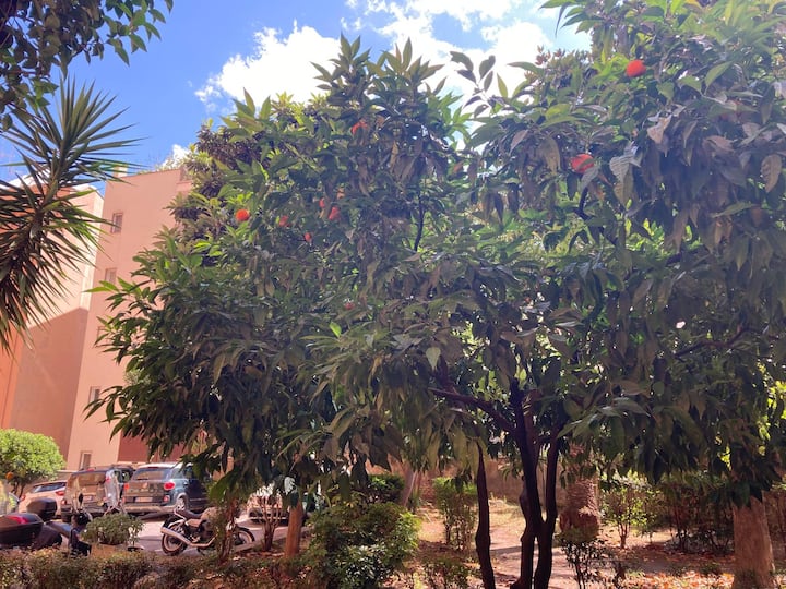 A Due Passi Dal Cuore Di Roma - Roma