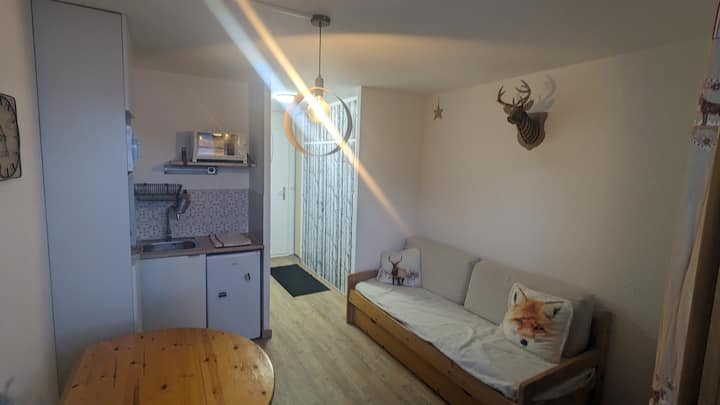 Pour Vos Vacances En Famille - Saint-Sorlin-d'Arves
