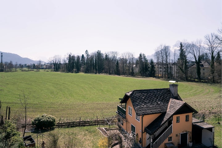 Amadeus In Love - Salzburg