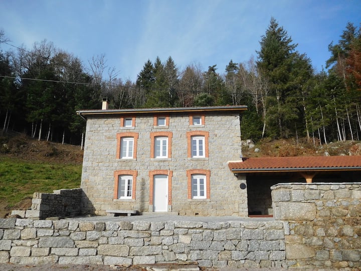 Gite Le Puy Du Faux 11 Personnes - Chalmazel