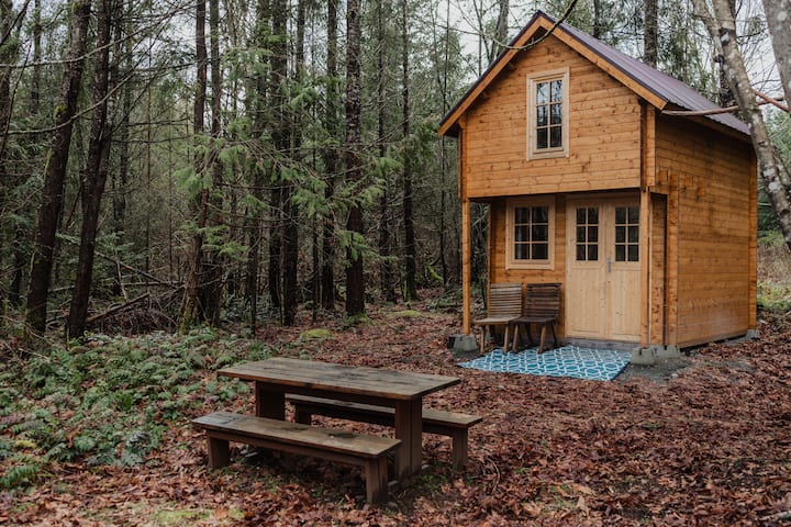 Rhosgobel Roost Cabin At Shirewoods - Nanaimo