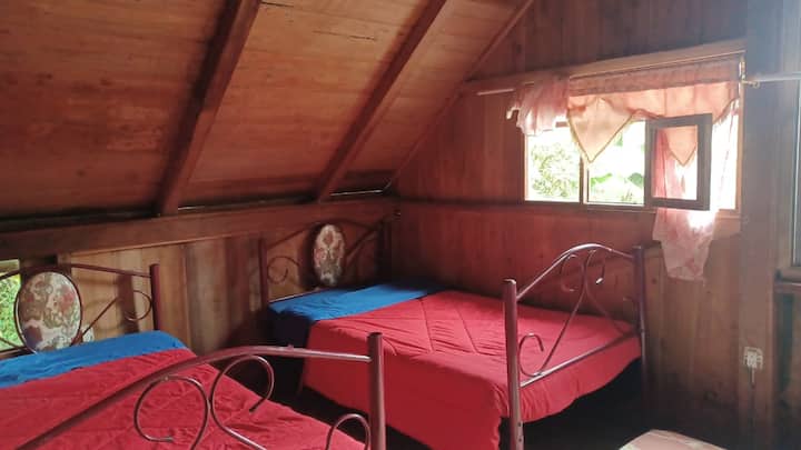 Mindo, Lindo Dpto. De Madera. - Mindo Valley