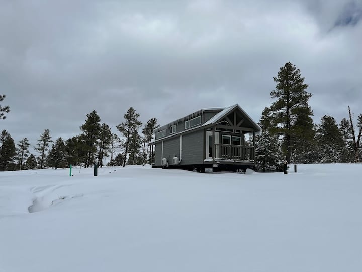 Cabin With A Forest View 2b - Williams, AZ
