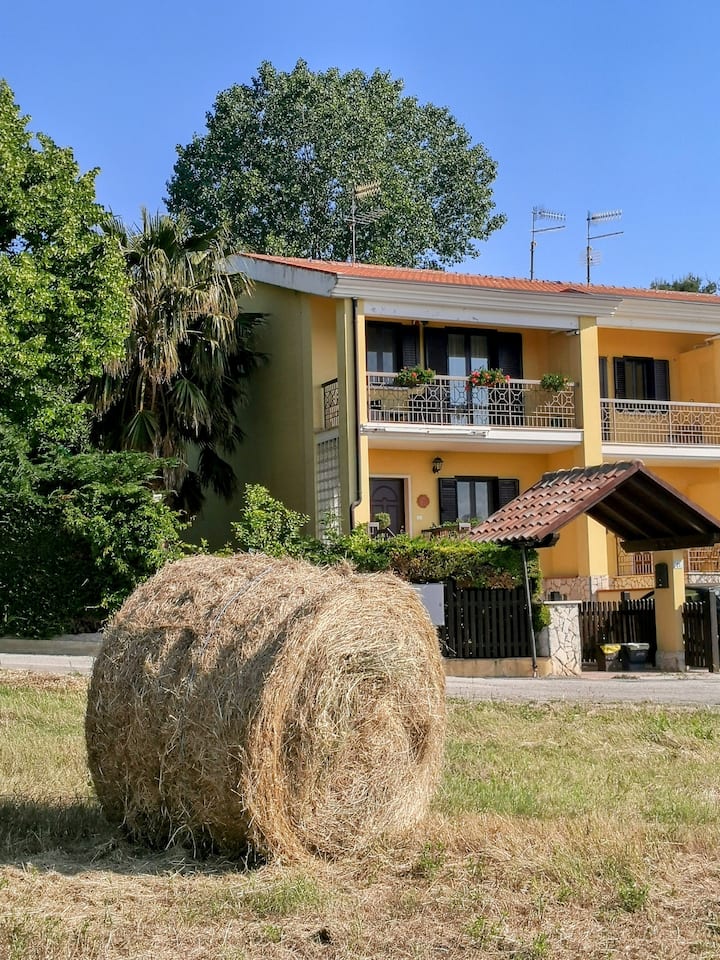 Paradiso D'abruzzo - Pineto