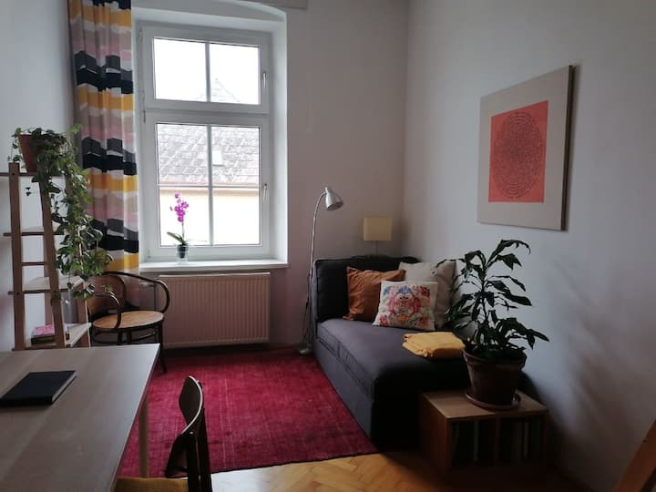 Loving, Central & Smart Altbau - Linz