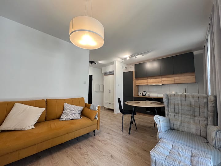 Piotrkowska 44 Studio Amber - Łódź