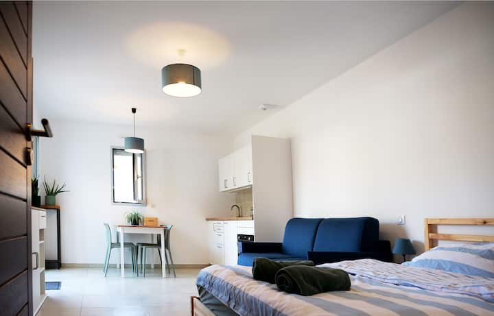 Studio Neuf 30m2 à La Plage Avec Jardin / Terrasse - Seignosse