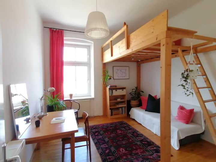 Bright Central & Charming Altbau - Linz