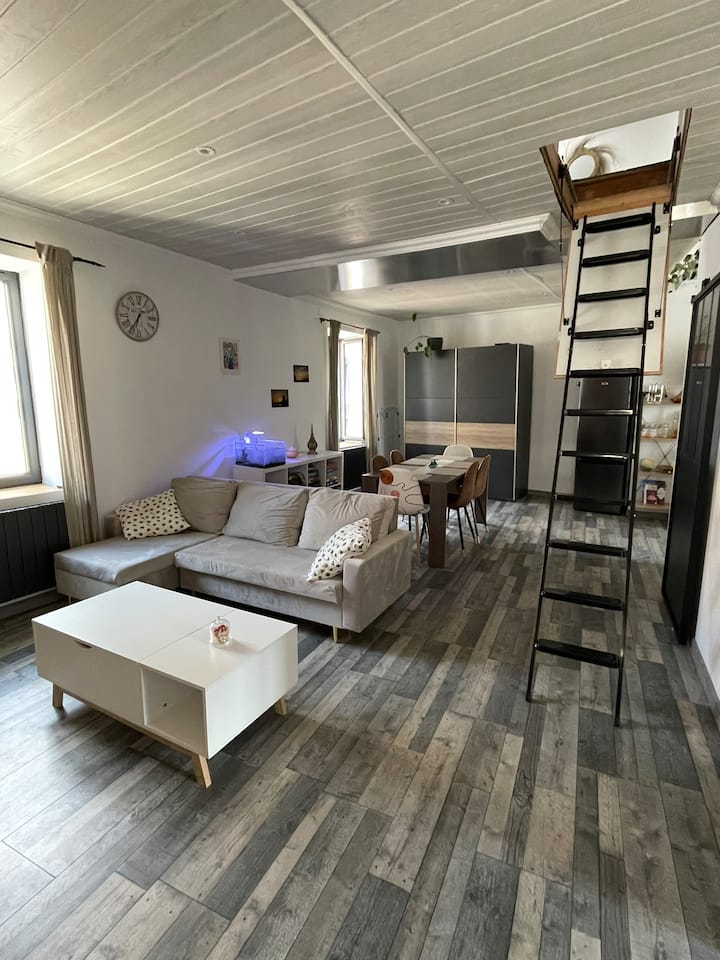 Appartement Royat Bourg - Orcines