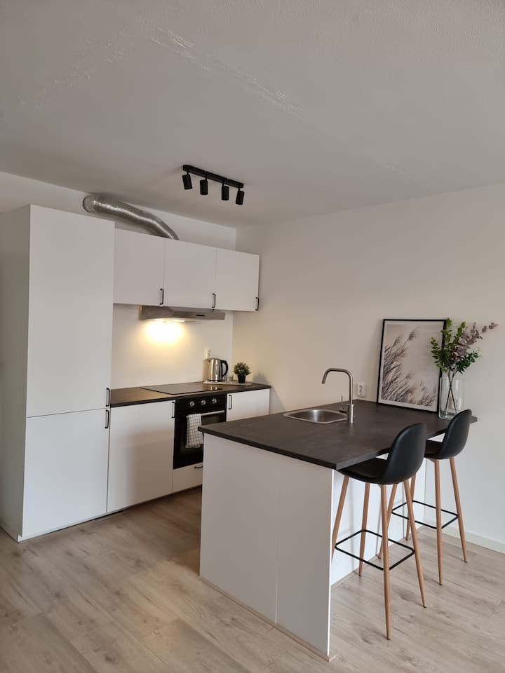 Centrale Accomodatie B Rotterdam - Rotterdam