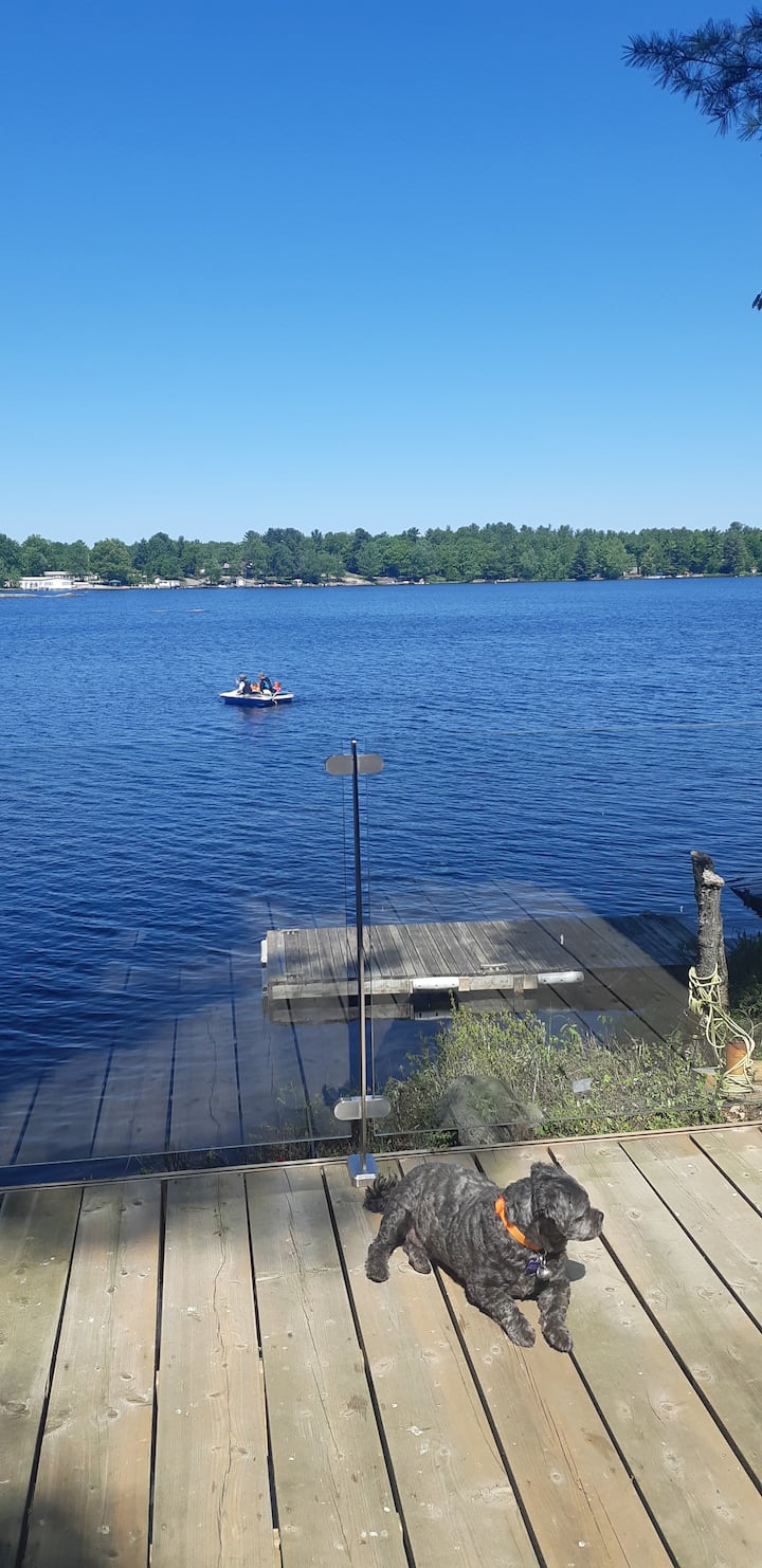 Cabin, Waterfron, Beachfront - Gravenhurst