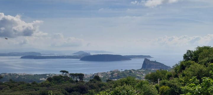 La Cartolina - Ischia Porto