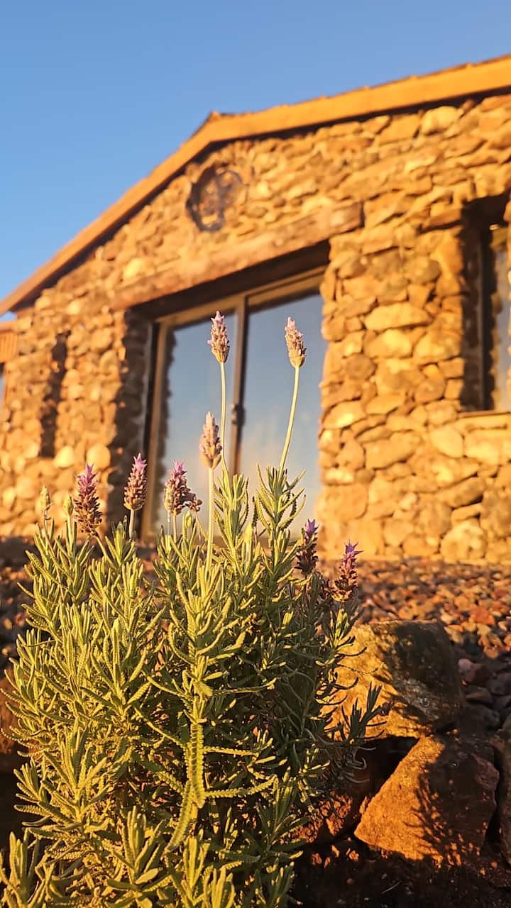 . Gracias Padre Pío - Uruguay