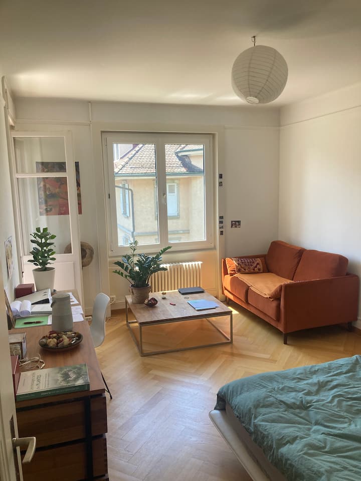 Appartement Lumineux Propre - Renens