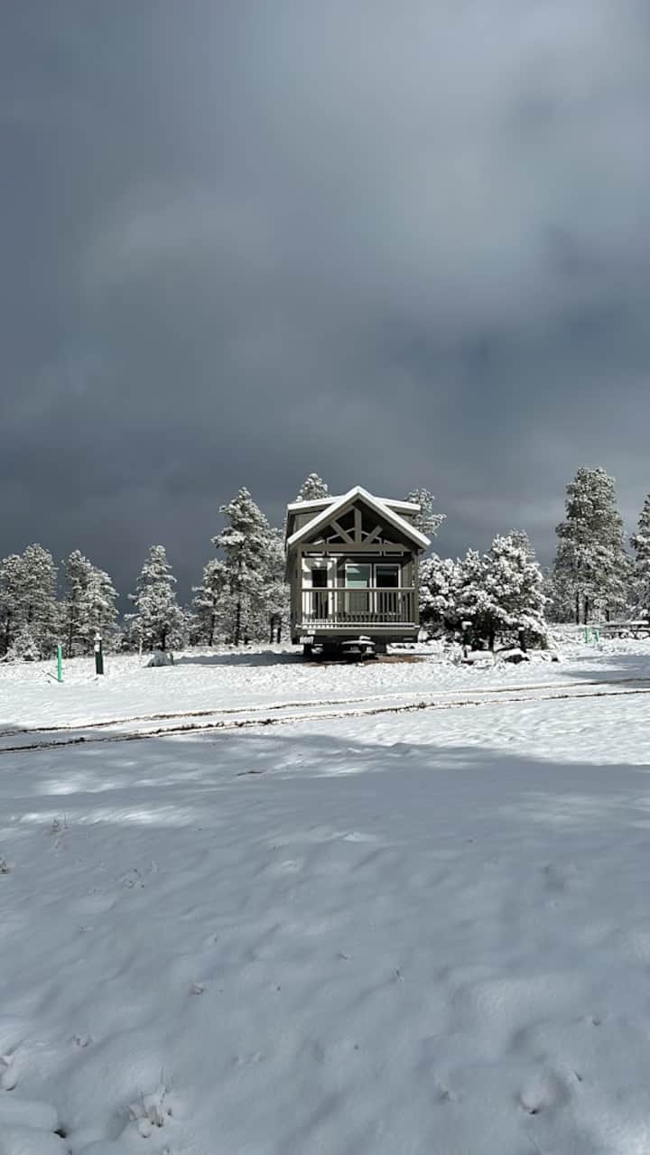 Cozy Cabin With Forest View 6b - Williams, AZ