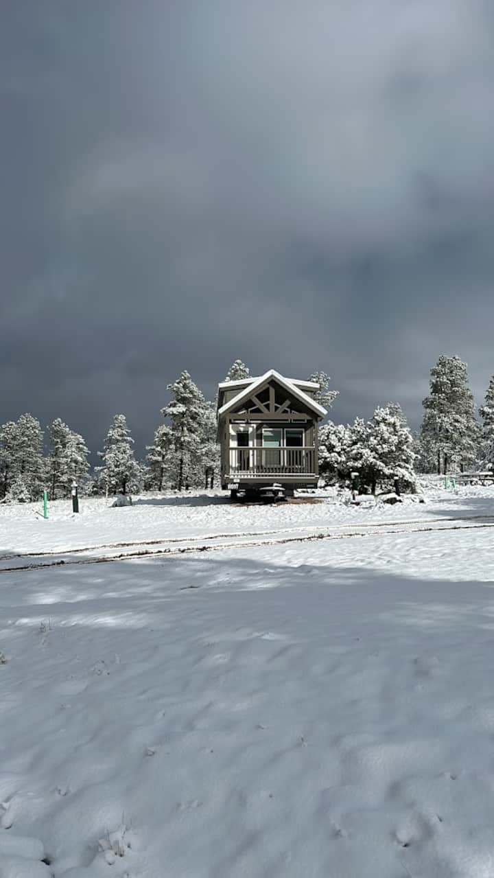 Cozy Cabin With Forest View 5b - Williams, AZ