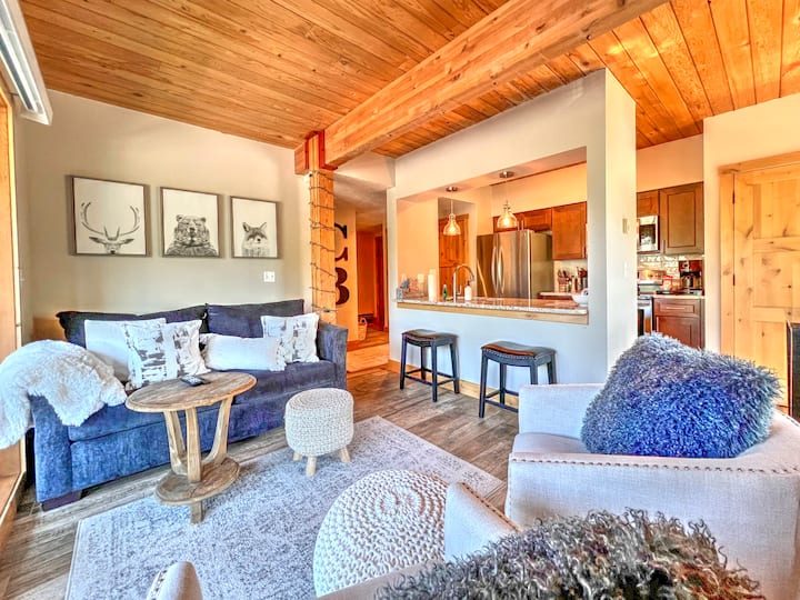 Fresh 1 Bedroom, Elevator, Close Walk To Resort Ac - Crested Butte, CO