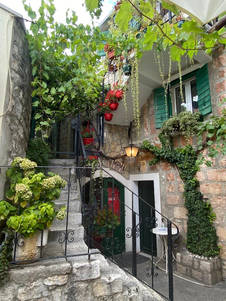 Ankora - Omiš