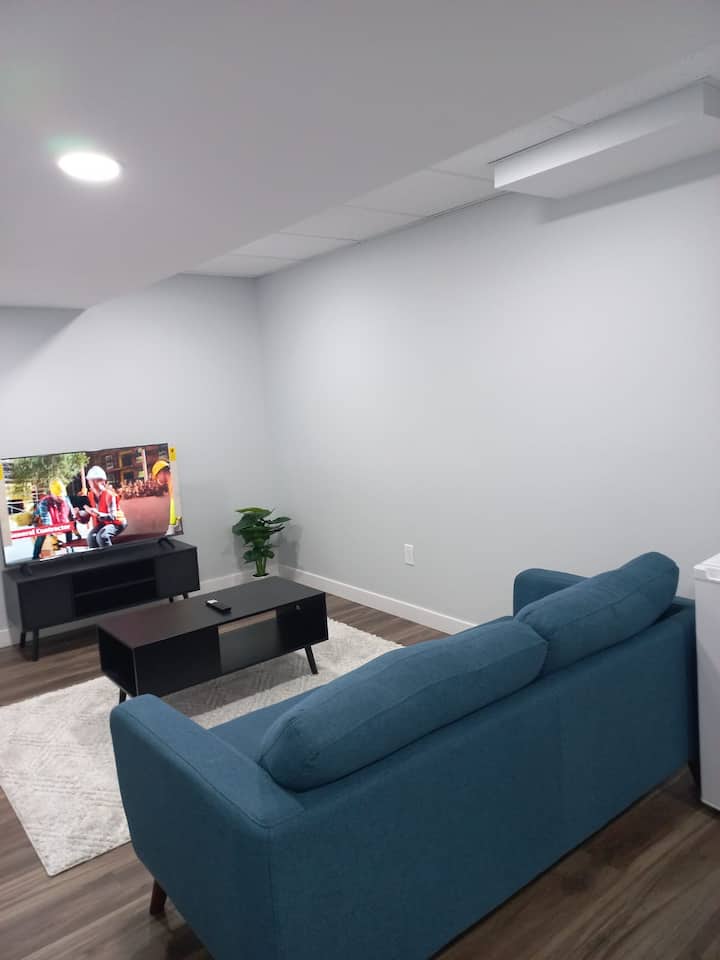 Luxury 1 Bedroom Basement Suite - Winnipeg