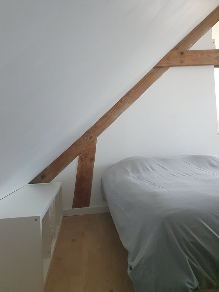 Très Joli Meublé Type Loft - Larmor-Plage