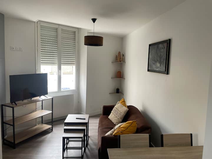Appartement Kruger - アンジェ