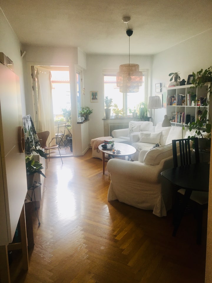 Centralt, Nära Till Hav, Parker. - Malmö