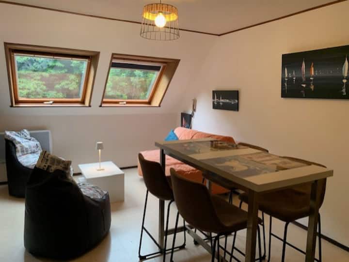 Studio Allées D'etigny  Pour Curistes Ou Touristes - Les