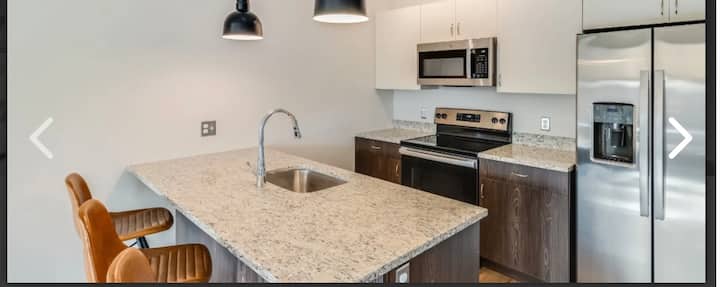 Downtown Stylish Apartment - Grosse Pointe, MI