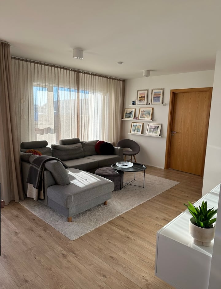Apartment In Reykjavik - Reikiavik