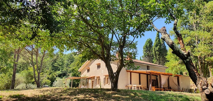 Stirpe Nel Bosco - Fiocco - Pistoia