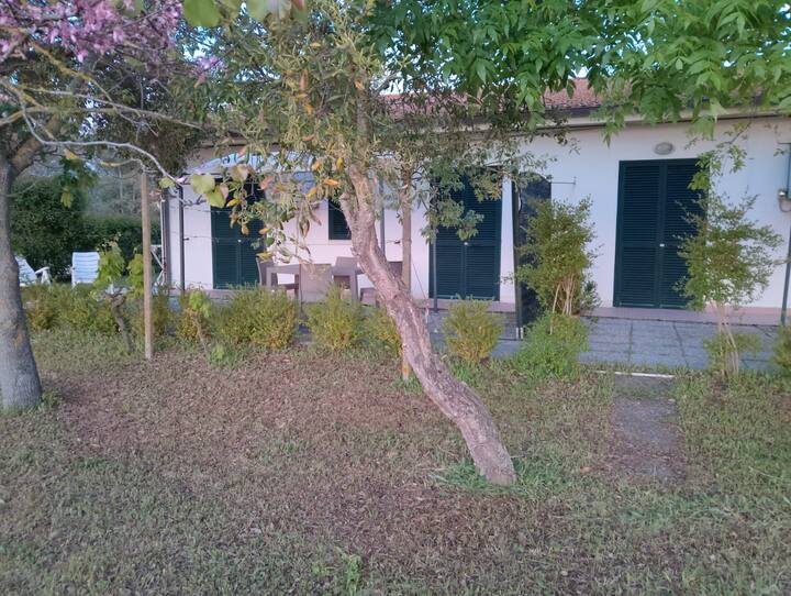 Agriturismo I Gelsi
"Il Pino" - Marina di Grosseto