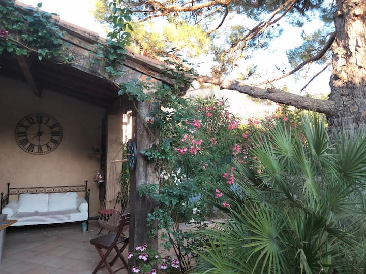 Au Cœur Du Festival D'avignon - Avignon