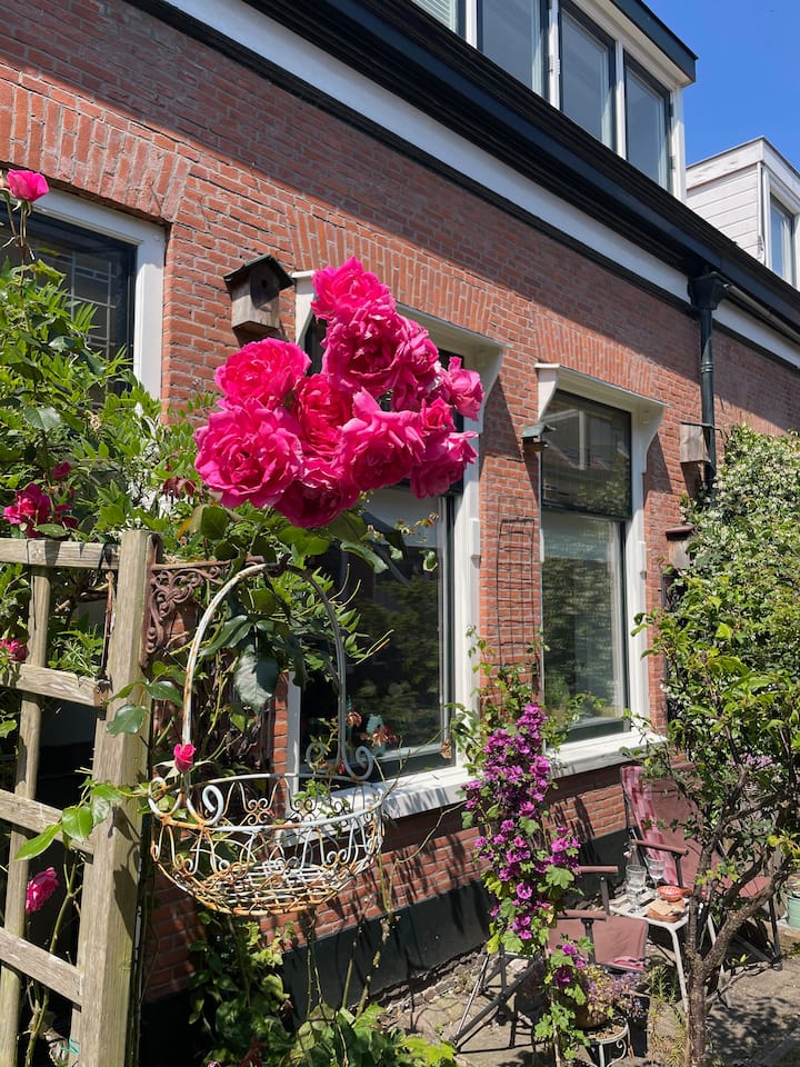 Cosy Beach House - The Hague