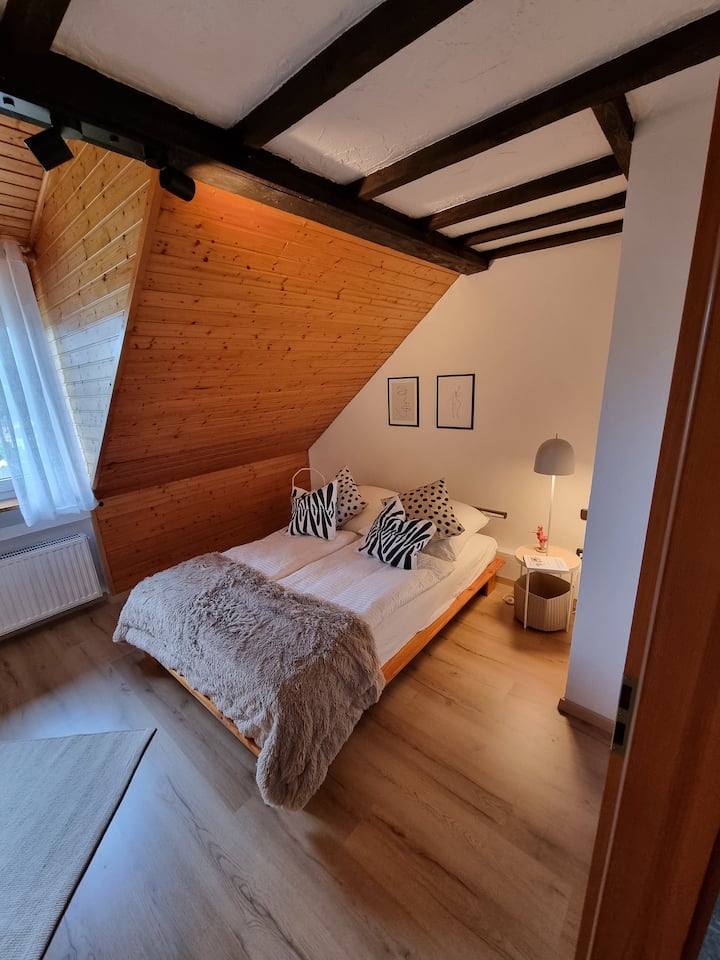 Schwalbennest - Daun