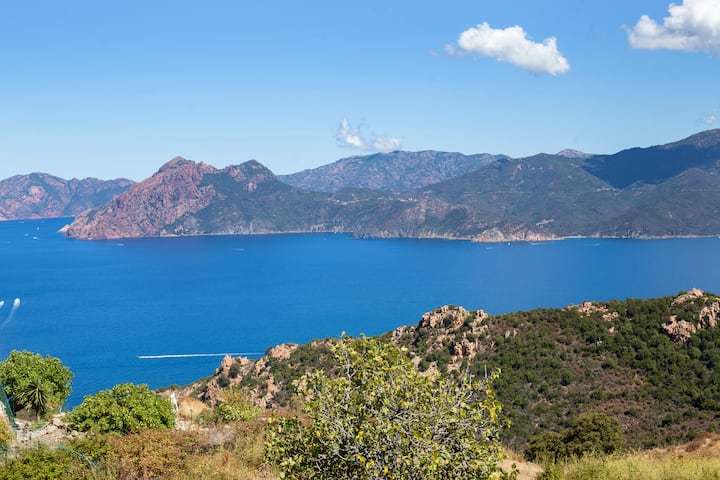 T3 Avec Vue Mer Spectaculaire-calme-piana - Piana