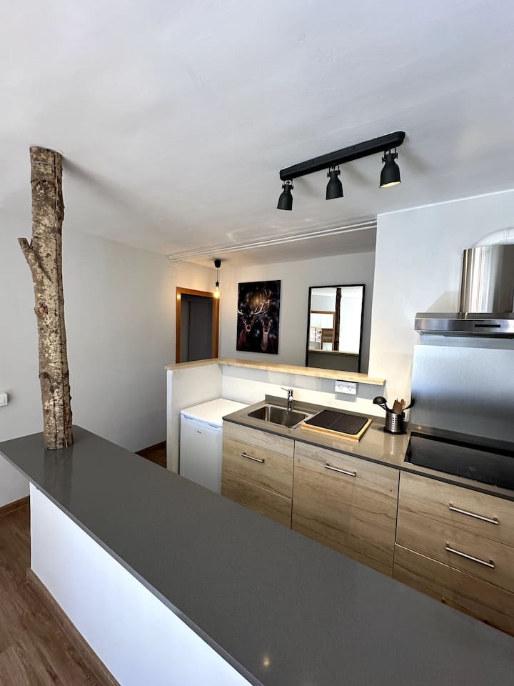 Apartamento Dalia - Castellar de n'Hug