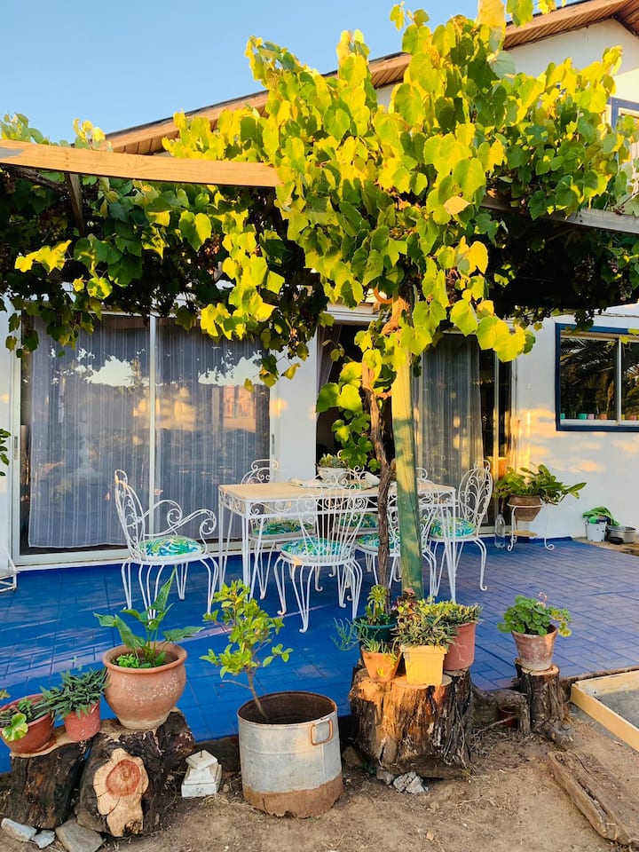 Casa Bella - 