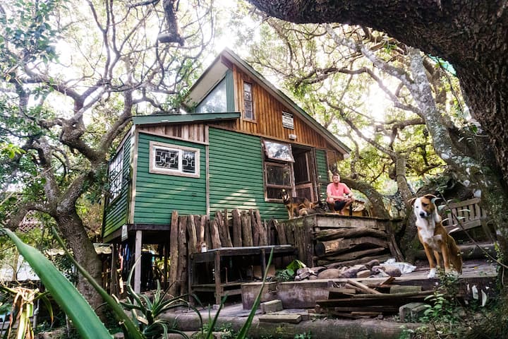 Shaka Surf School & Backpackers - Port Alfred