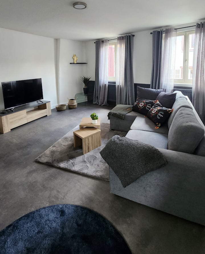 Charmant Logement Hyper Centre - Sélestat