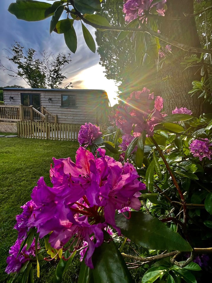 Shetland Retreat - Ringwood