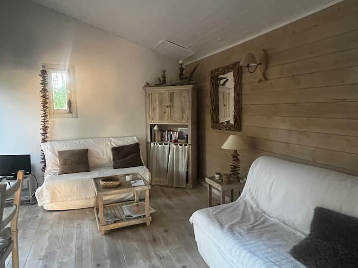 Un Chalet Au Coeur De La Pinède - Lacanau